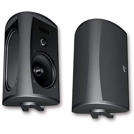 Definitive Technology AW5500 Outdoor speaker | Choose-Your-Gift